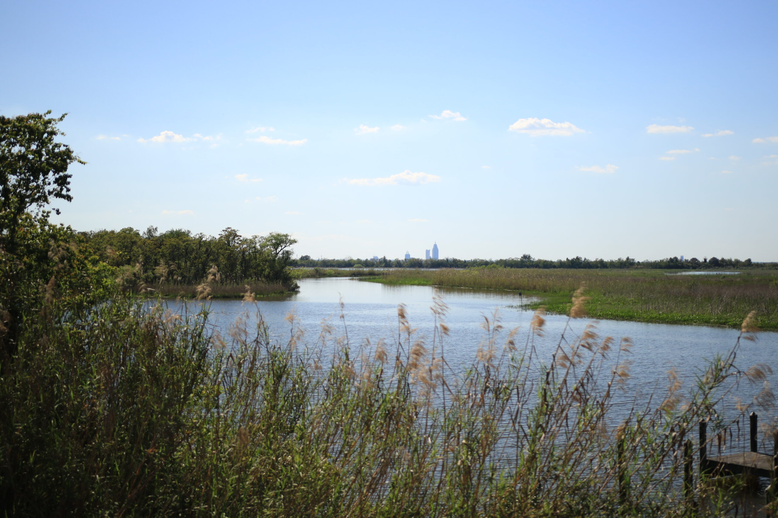 5 Rivers Delta Resource Center | Coastal Alabama Ecotourism Experiences