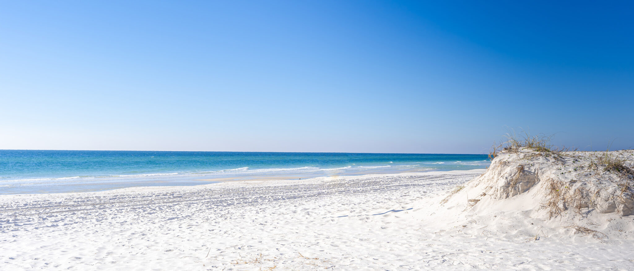 Ultimate Tour | Coastal Alabama Ecotourism Itineraries & Trip Ideas