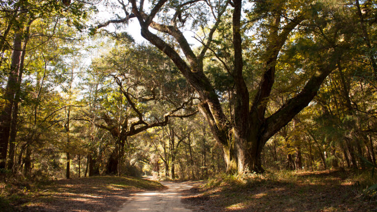 Historic Blakeley State Park | Coastal Alabama Ecotourism Experiences