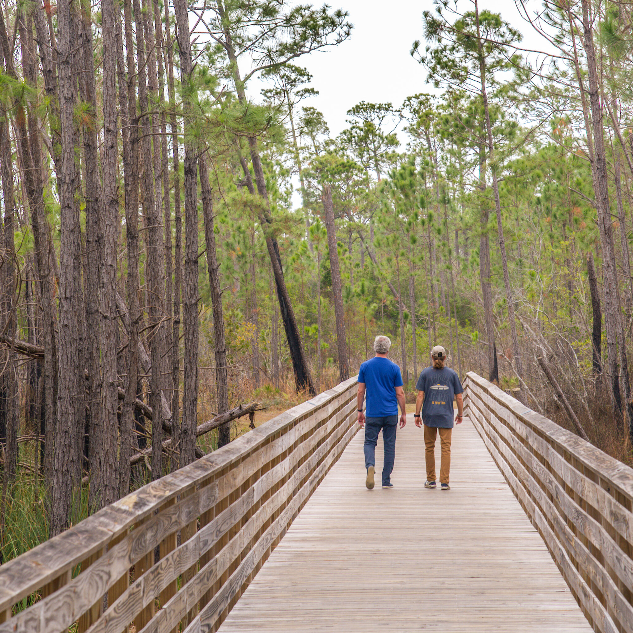 Certified Tours & Guides | Coastal Alabama Ecotourism