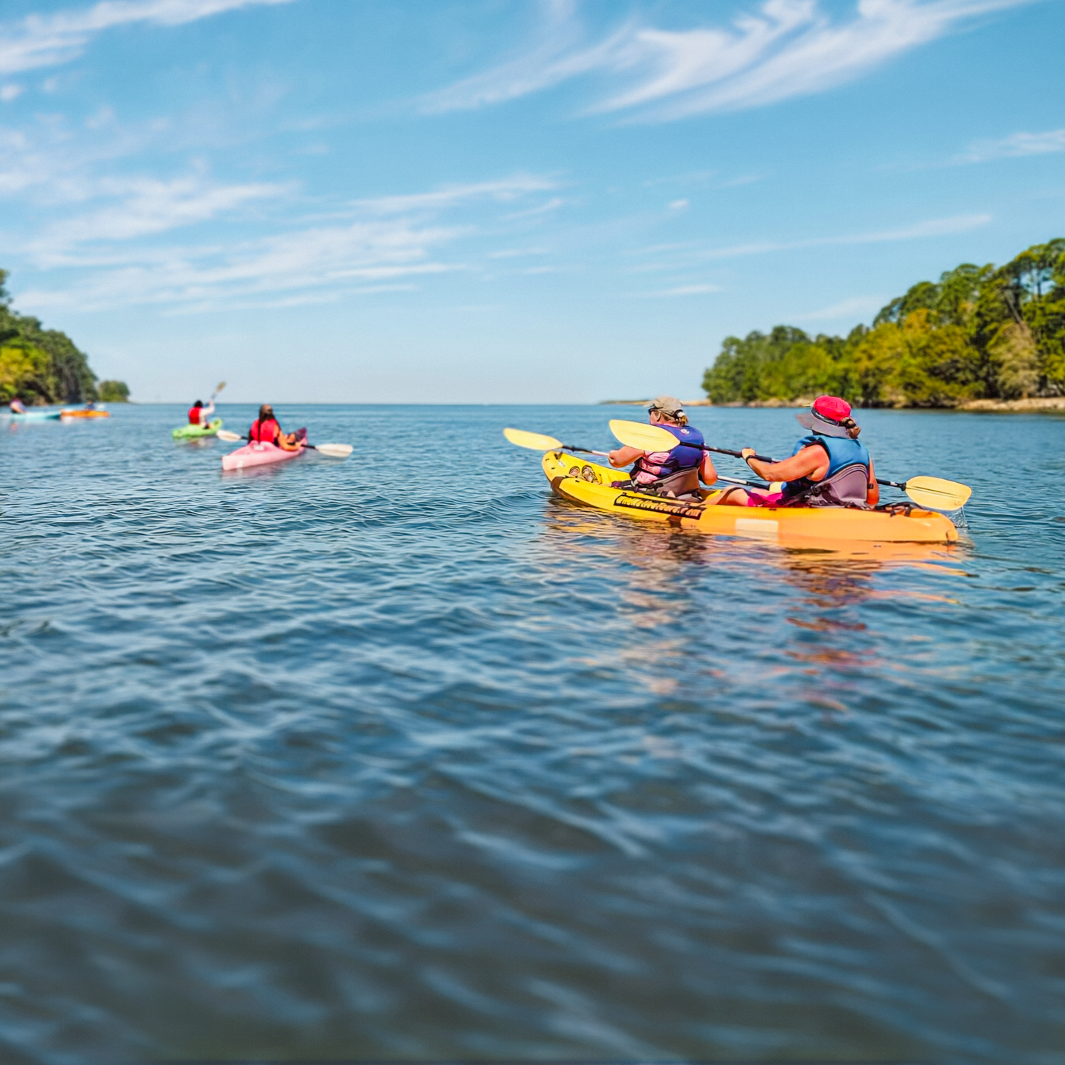 Coastal Alabama Ecotourism