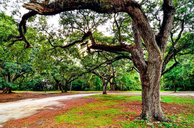 Cadillac Square | Coastal Alabama Ecotourism Experiences