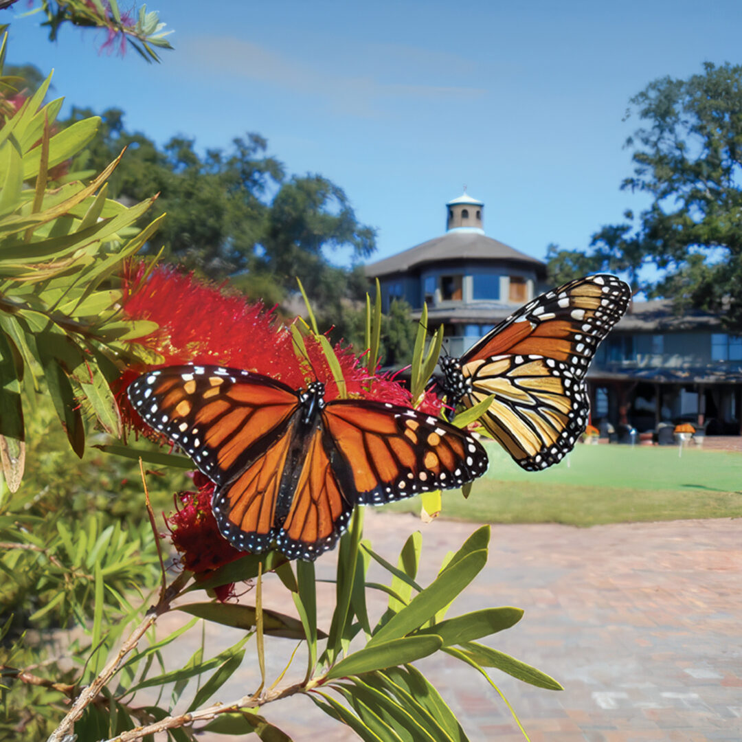 Know Before You Go | Coastal Alabama Ecotourism